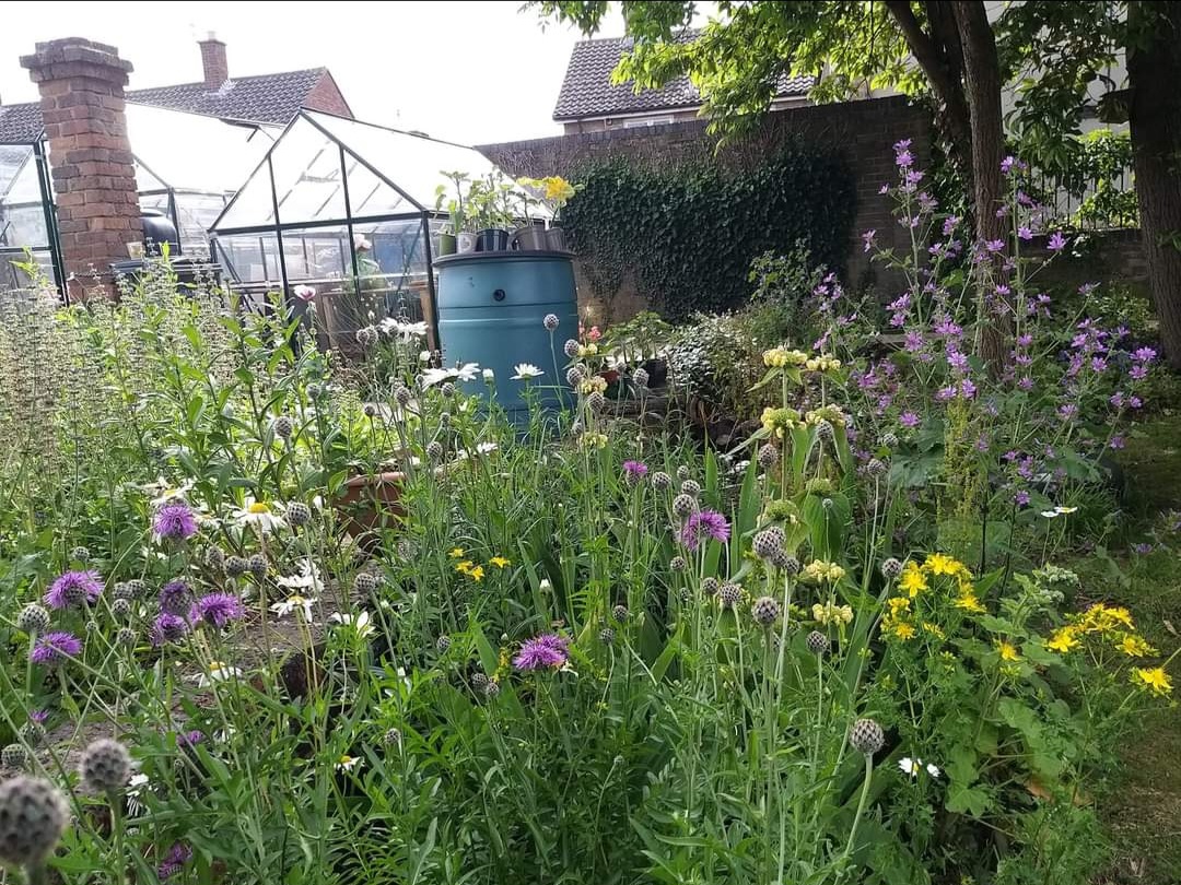 Dig, Rest, and Play in the Community Rest Garden – St Peter's & The Moors